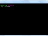 Installing Ionic On Windows